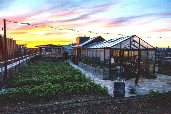 Urban & green: Locations mit einem grünen Daumen | Event Partner